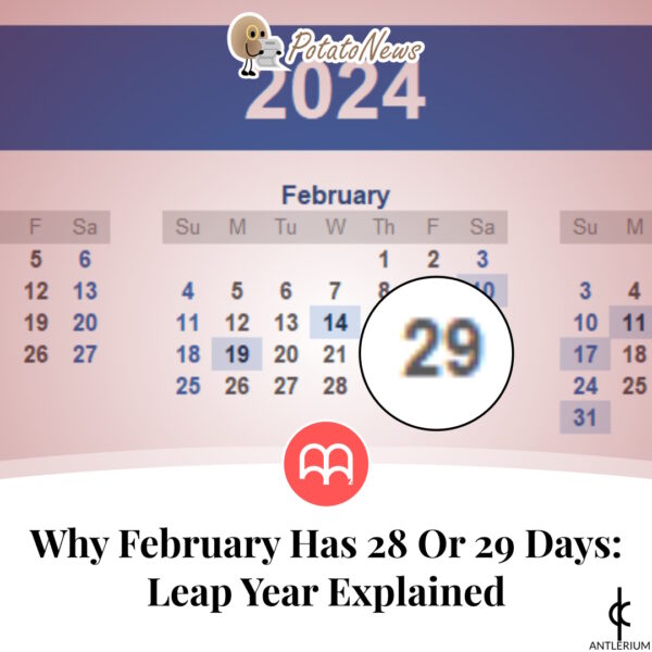 Why February Has 28 Or 29 Days: Leap Year Explained - Antlerium
